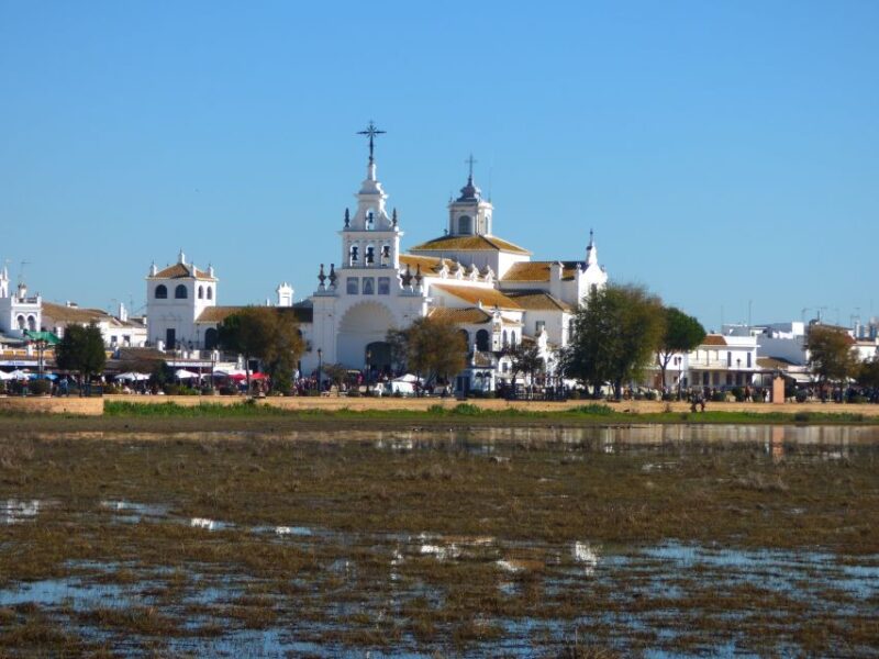 Doñana National Park Off-Road Tour from Seville - Practical Tips for Your Day Out