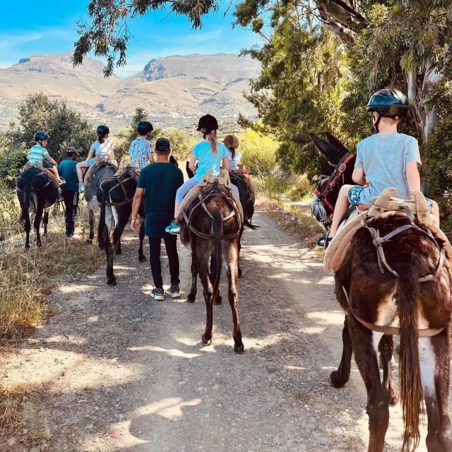 Donkey Ride - Cretan Country - Key Points
