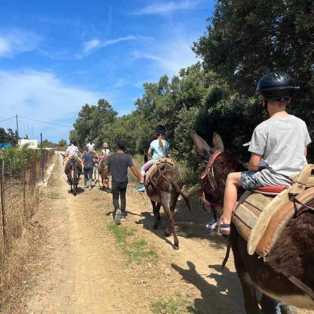 Donkey Ride - Cretan Country - A Closer Look at the Experience