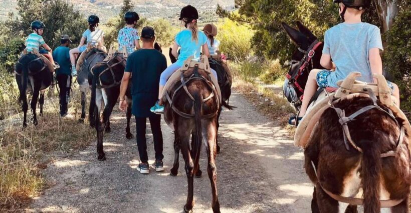 Donkey Ride - Cretan Country - Authenticity and Cultural Touches
