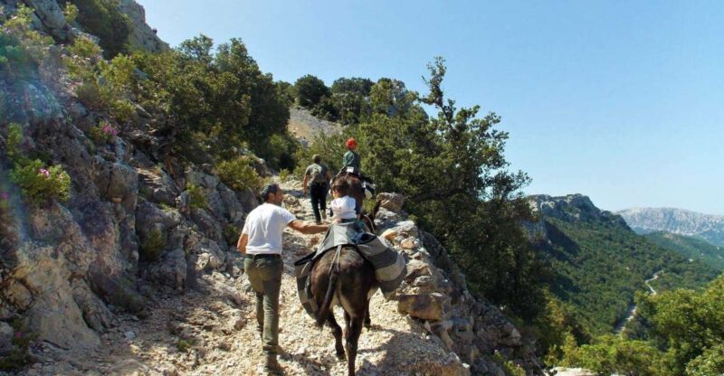 Donkey Walk in Suttaterra Forest From Dorgali - Key Points