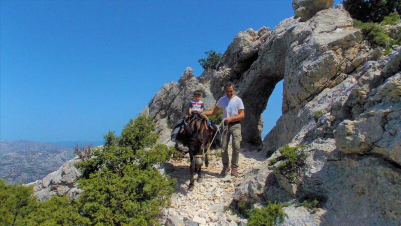 Donkey Walk in Suttaterra Forest From Dorgali - Scenic Route Through Centuries-Old Holm Oaks