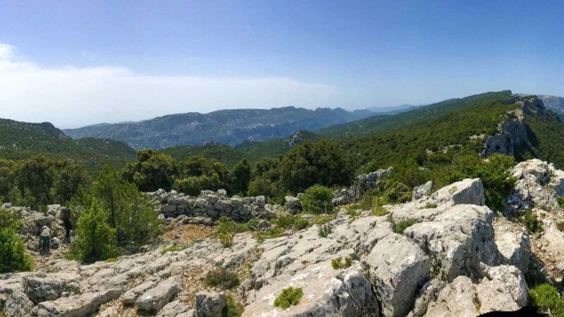 Donkey Walk in Suttaterra Forest From Dorgali - Inclusions, Exclusions, and Customer Feedback