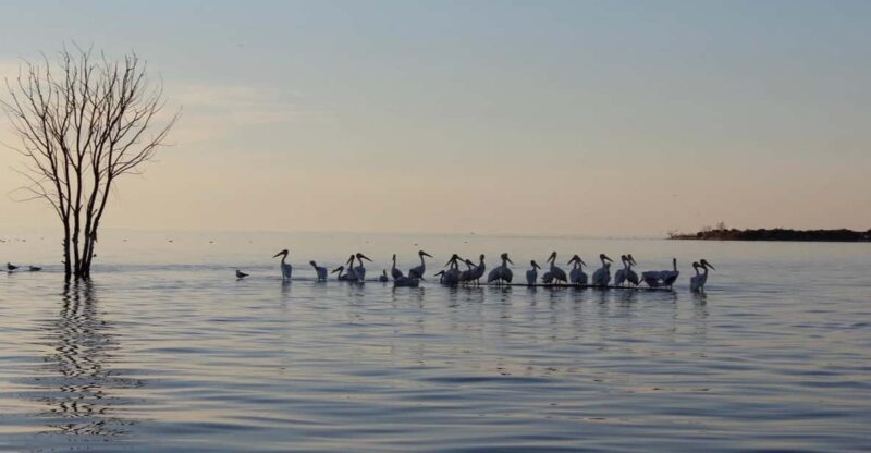 Door County Historic Cottage Row & Strawberry Islands Cruise - Final Thoughts: Why This Cruise Might Be a Highlight