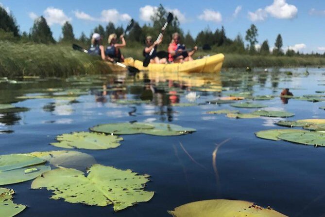 Door County Wetlands Kayak Tour - What to Expect on the Door County Wetlands Kayak Tour