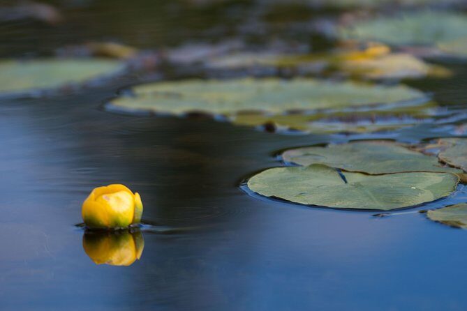 Door County Wetlands Kayak Tour - Practicalities and Tips for a Great Experience