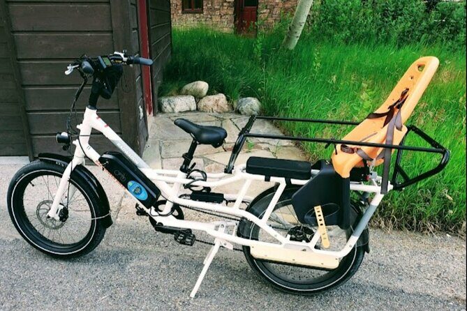 Door2Door E-Bike delivery-Ride the most scenic routes in Jackson Hole and GTNP. - Insights from Travelers