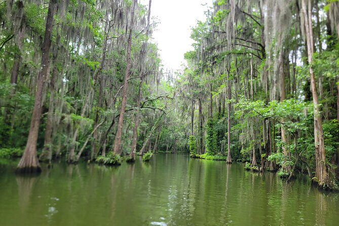 Dora Canal Half-Day Kayak and Paddle Board Rental Adventure - The Details of the Experience: What’s Included and What to Expect