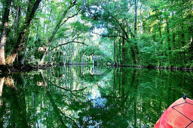 Dora Canal Half-Day Kayak and Paddle Board Rental Adventure - Who Should Consider This Tour?