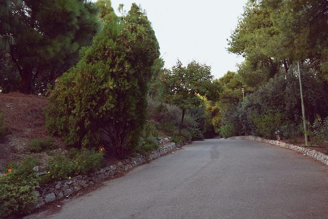 Dora Stratou Greek Dancing Show Skip-the-Line Ticket - Accessibility Considerations