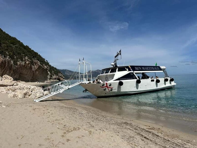 Dorgali: Cala Luna Boat Trip - Who Should Consider This Experience?