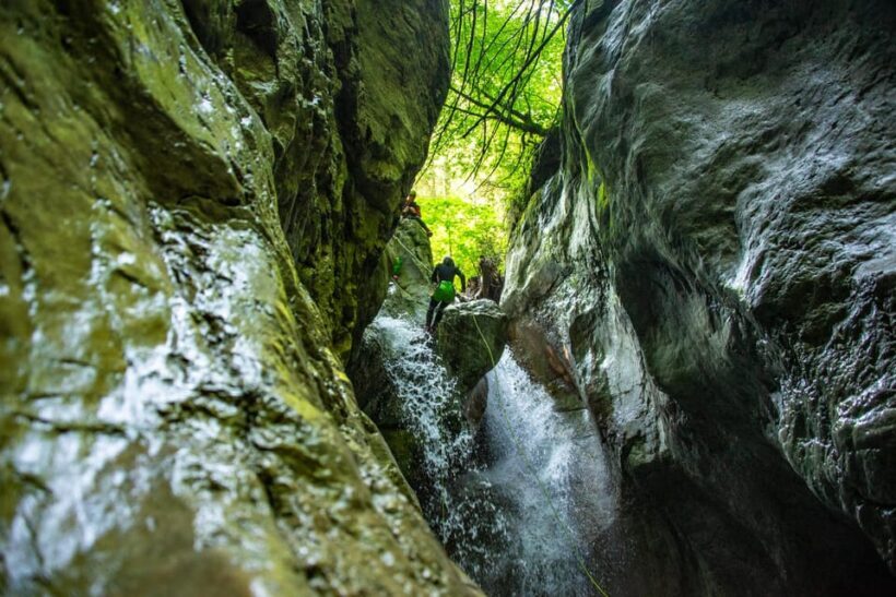 Dornbirn: Merlins World canyoning experience for beginners - The Equipment and Safety