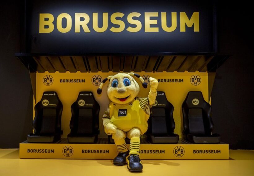 Dortmund: Borusseum Borussia Dortmund Museum Entry Ticket - Key Points