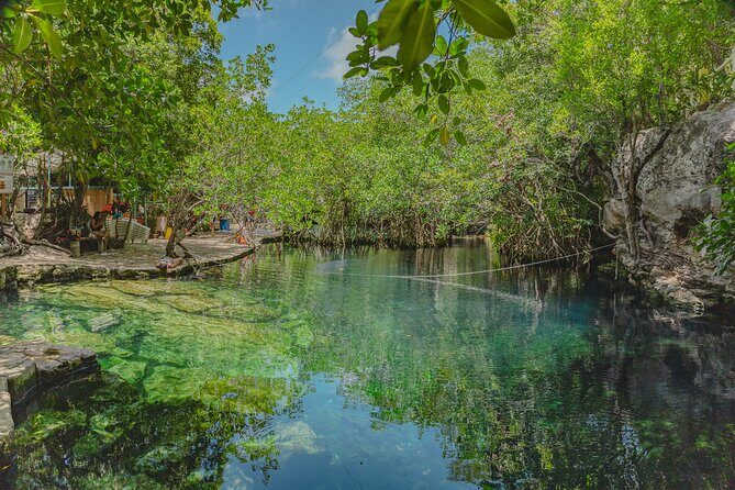 Dos Cenotes and Restaurant Lunch Private Adventure - The Experience and Its Value