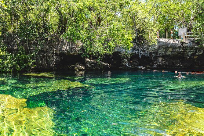 Dos Cenotes and Restaurant Lunch Private Adventure - Who Will Love This Tour?