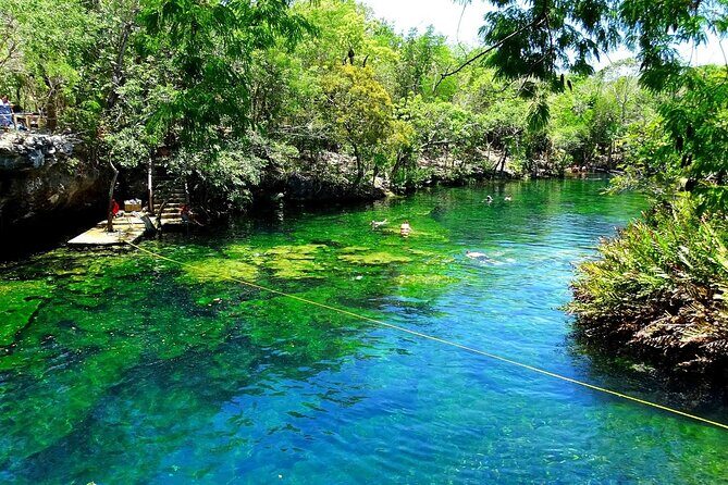 Dos Cenotes and Restaurant Lunch Private Adventure - The Sum Up