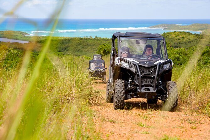 Dos Mares and Rainforest UTV Adventure Tour in Fajardo - Key Points