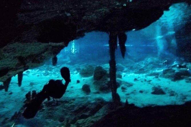 Dos Ojos Cenote Cavern Dive- The Barbie Line and The Bat Cave - The Sum Up