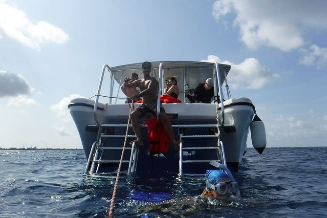 Double Dip Snorkel Trip - What Reviewers Say