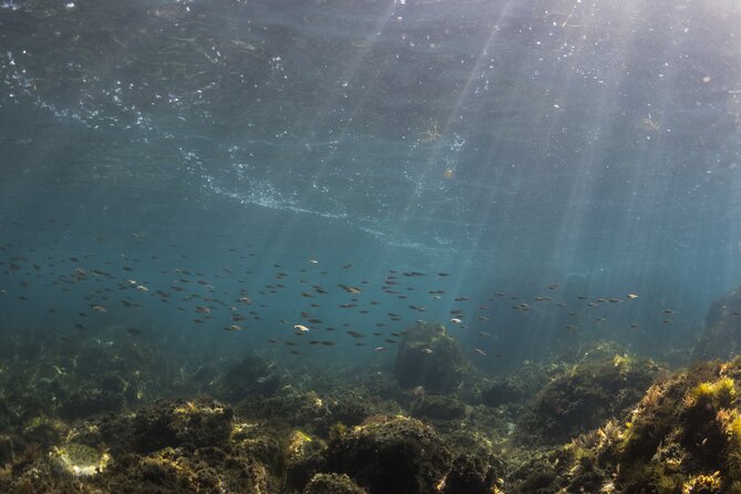 Double Discover Scuba Diving Review: Ultimate Experience - Inclusions and Pricing