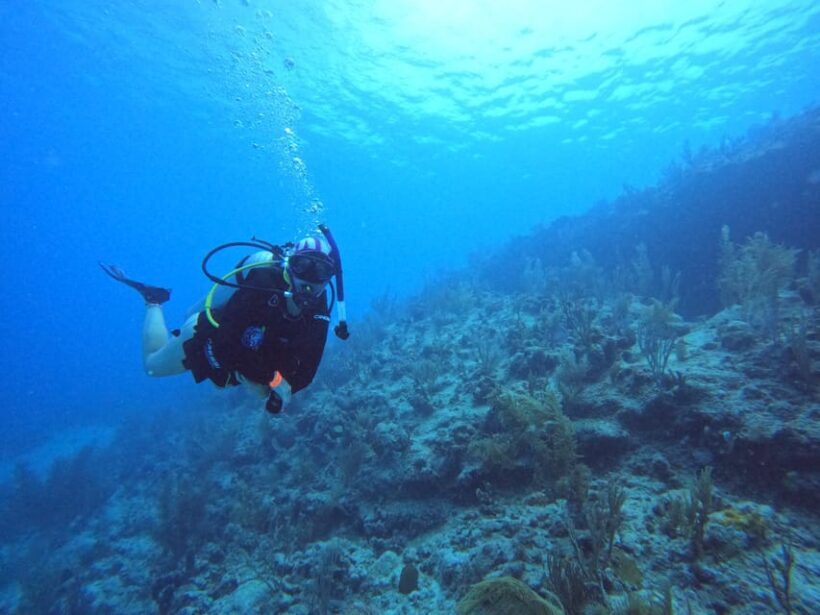 Double Dive for Certified Divers - Real Experiences and Reviews