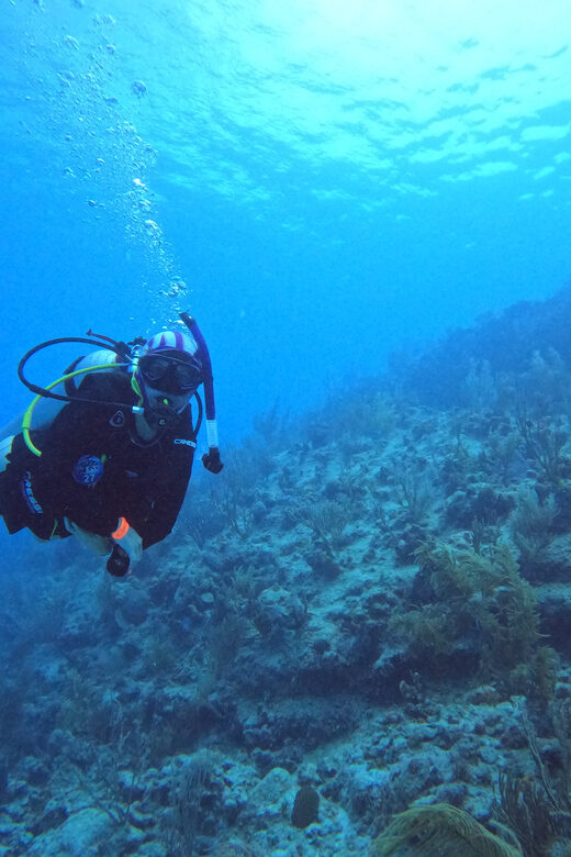 Double Dive for Certified Divers - The Sum Up