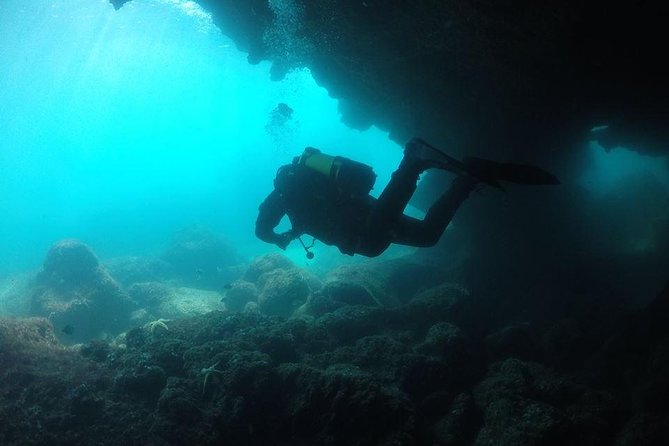 Double Dive in Cascais - go further and go under! - The Sum Up