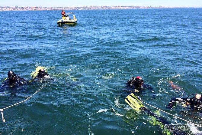 Double dive in the Algarve. Don't stop on the beach! - Why This Tour Offers Great Value