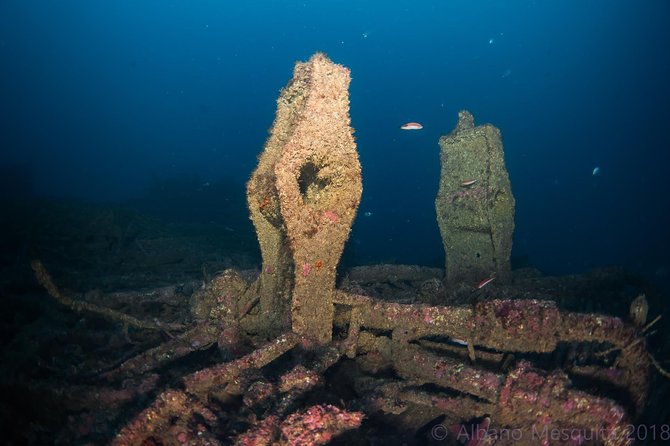 Double Dive the Fantastic Ocean Revival Park - Discovering the Double Dive at Ocean Revival Park: A Practical Look