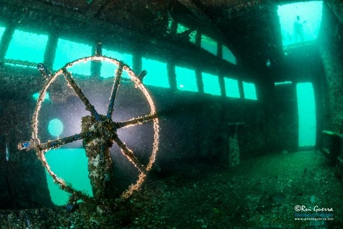 Double Dive the Fantastic Ocean Revival Park - Weighing the Value