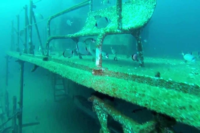 Double Dive the Fantastic Ocean Revival Park - Who Will Love This Tour?