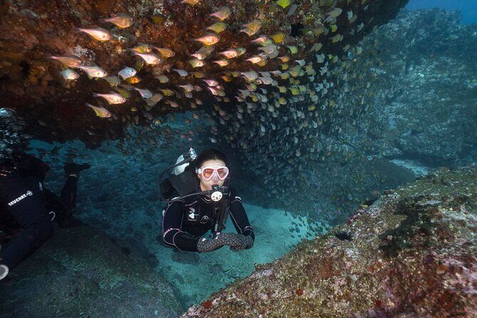 Double Dive to South Solitary Island Coffs Harbour - Key Points