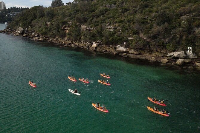 Double Kayak Hire - 4 Hours - The Experience for Different Travelers