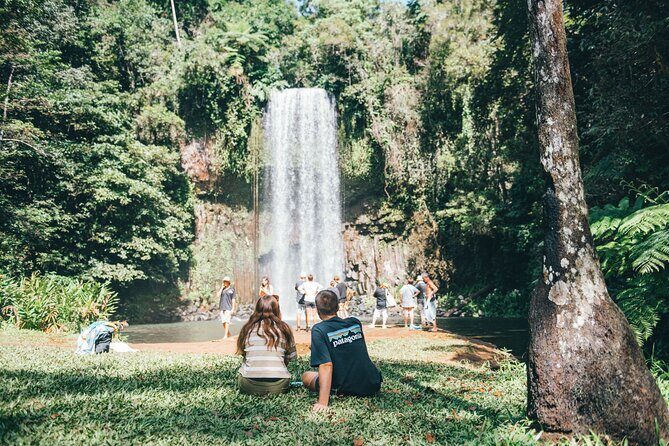 Double Pack-Ancient Rainforest and Waterfalls! - Key Points