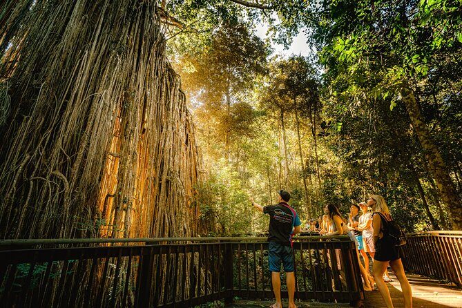 Double Pack-Ancient Rainforest and Waterfalls! - An Introduction to the Cairns Rainforest and Waterfalls Tour