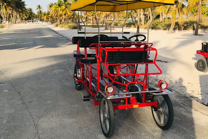 Double Quadricycle/Surrey Rental at Crandon Park - Who Will Love This Experience?
