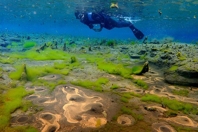 Double Snorkeling Adventure near Húsavík in North Iceland - Why the Experience Offers Great Value