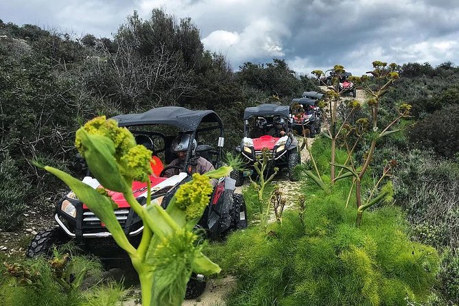 Double Trouble Adventure in Limassol - Archery Mastery and Instruction