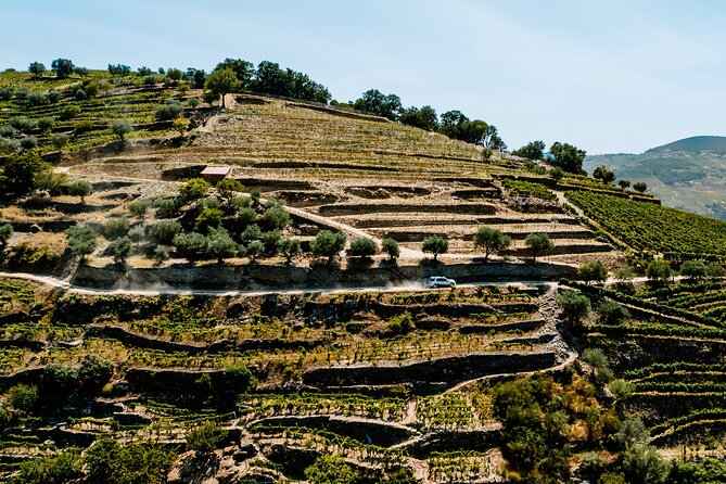 Douro Adventure - Tour 4x4 | Full Day Private Tour | All Included - Lunch and Wine Tasting: A Taste of Portugal