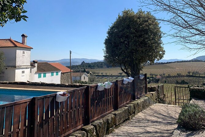 Douro Full Day Tour With Wine Tasting and Lunch - Experiencing the Rabelo Boat Cruise