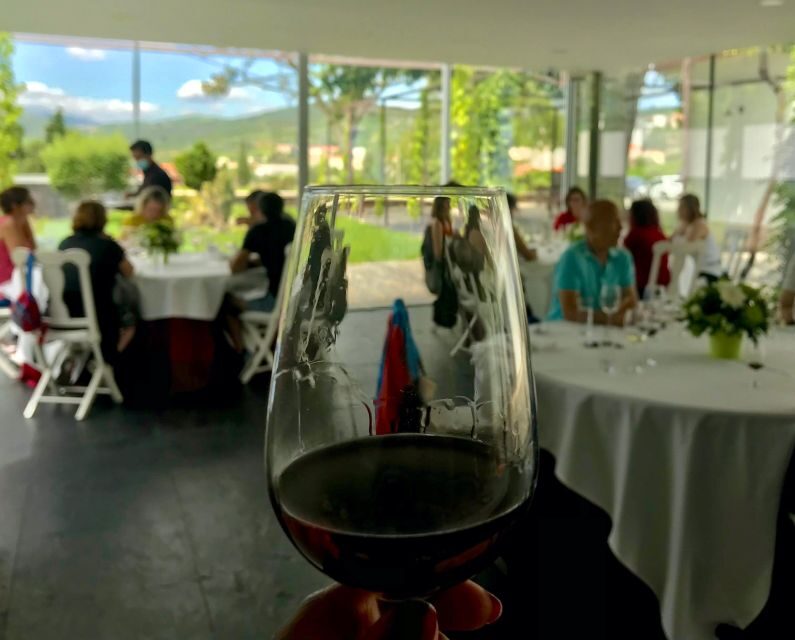 Douro - Pacheca: luxury walking with full lunch and wines - Key Points