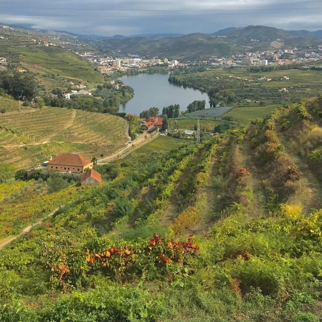 Douro - Pacheca: luxury walking with full lunch and wines - Exploring the Douro - Pacheca Experience