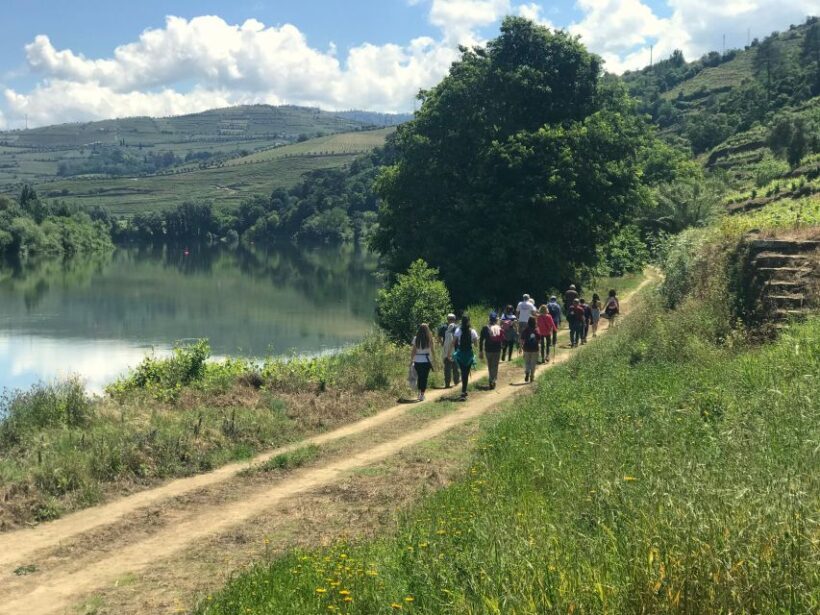 Douro - Pacheca: luxury walking with full lunch and wines - The Sum Up