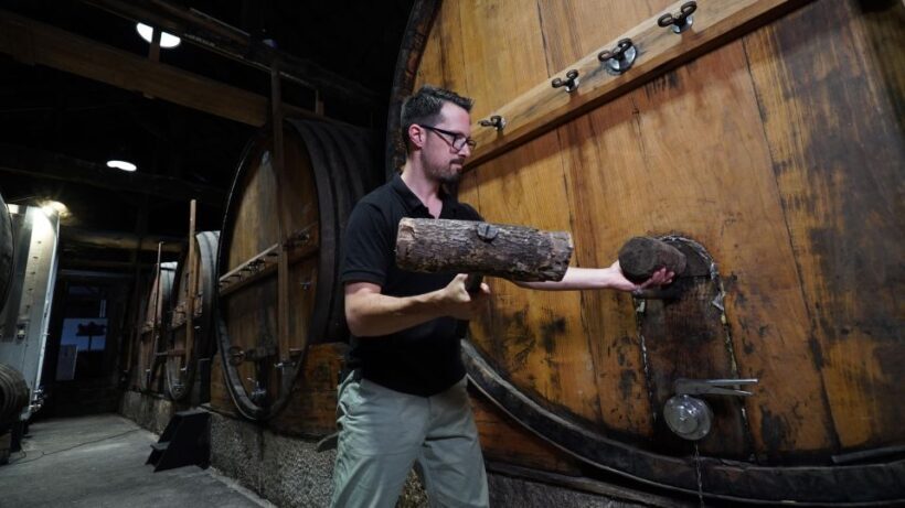 Douro: Porto Wine Tasting with Guided Tour - Introduction: What’s on Offer and Who Will Love It