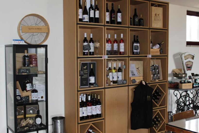 Douro: Porto Wine Tasting with Guided Tour - The Practicalities: What You Need to Know