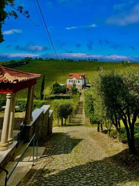 DOURO PREMIUM - What Past Travelers Say