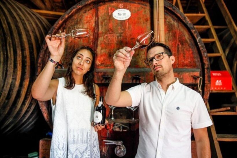 Douro: Premium Wine Tasting and Tapas Tour - Practical Tips for Visitors