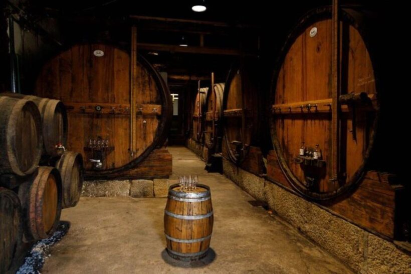 Douro: Premium Wine Tasting and Tapas Tour - Who Will Love This Tour?
