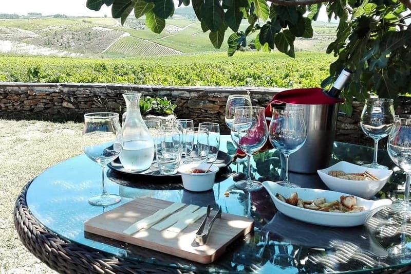 Douro Private Signature Tour  Customizable Experience - Exploring and Free Time