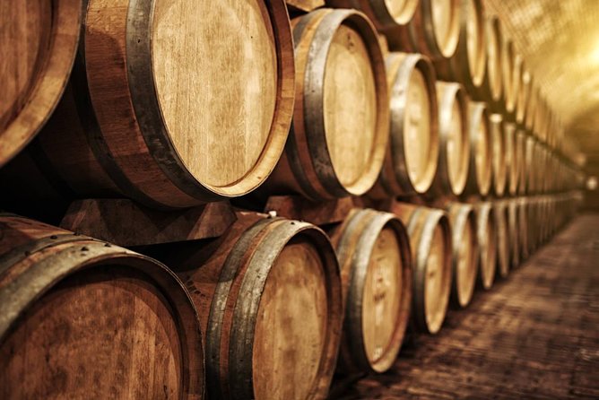 Douro Private Tour  Customizable Experience - A True Taste of Local Life in Provesende